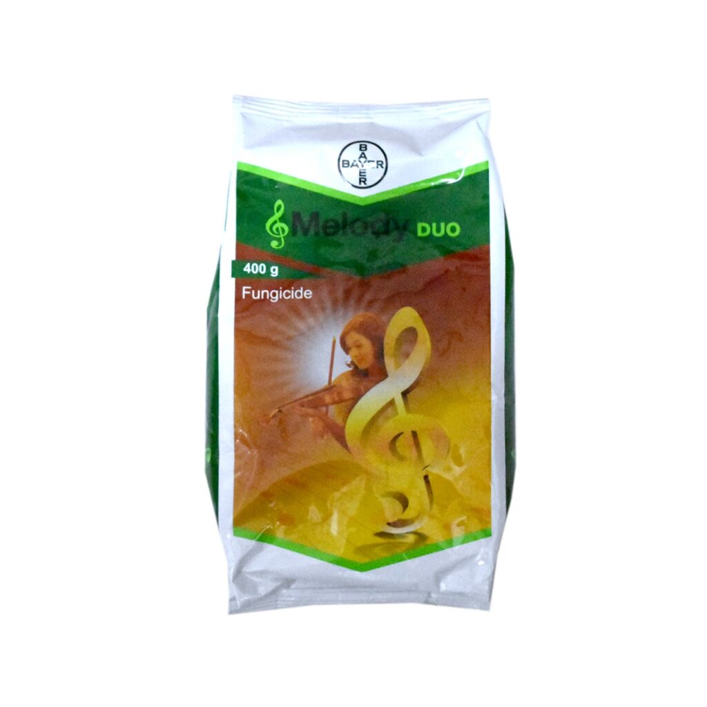 Aureofungin 46.15% SP